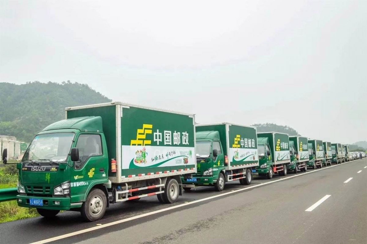 Chinese Logistics Companies Overview (Updated 2024)